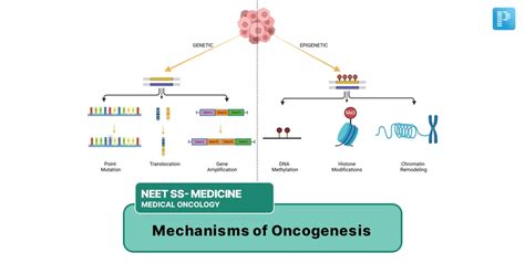 Insertional Oncogenesis