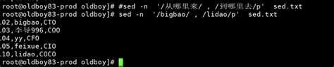 Linux三剑客之sed命令详解linux培训机构