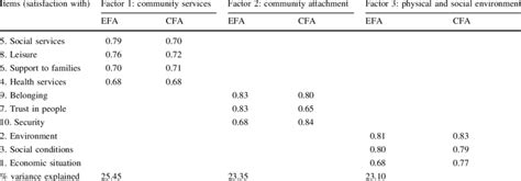 Factor Loadings For The Exploratory Factor Analysis Efa And Final
