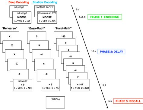 procedure of the wm task on each trial participants made a deep is