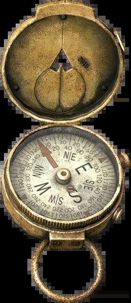 Compass Wild Island Wiki Fandom