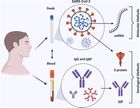 Serological Methods