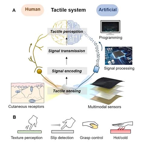 arduino on linkedin real time multimodal tactile detection system