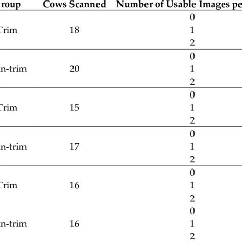 summary of the data on the usable images obtained by treatment group