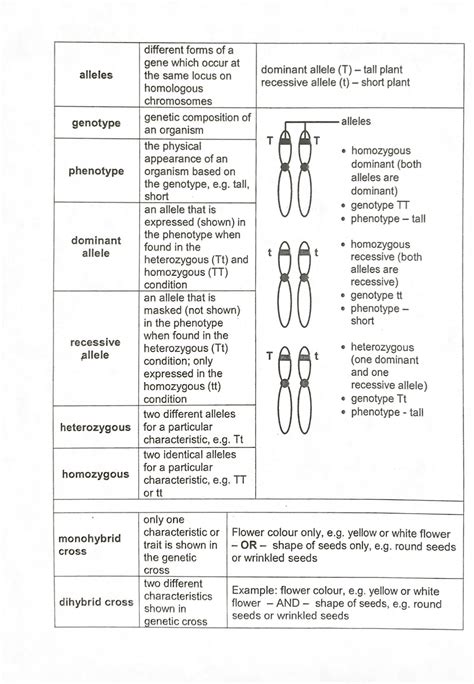 Solution Genetics And Inheritance Notes And Activities Life Science