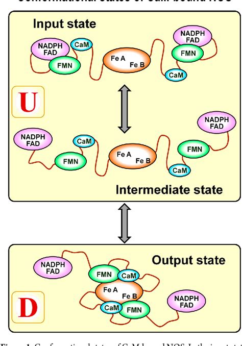 Figure 1 From Solving Kinetic Equations For The Laser Flash Photolysis