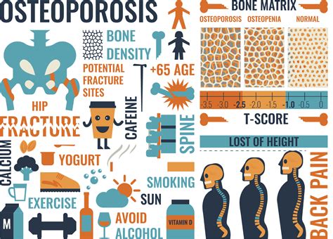Bone Density Green Imaging Affordable Mris Ct Scan Mammogram
