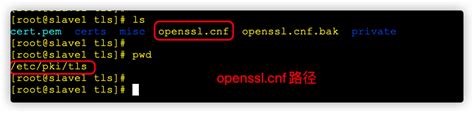 Grpc、、oauth2等认证专栏实战3 使用openssl来制作san类型的证书使用 Openssl 生成多域名san