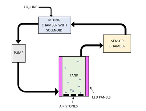 Diagram Of Closed Loop Bioreactor System Arrangement Download