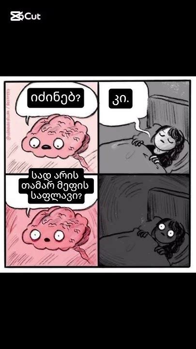 თქვენ რას ფიქრობთ სად არის Shorts Memes თამარმეფე საქართველო მიმები მიმი Tiku Ca Youtube