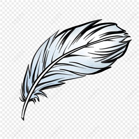 퀼 그라데이션 일러스트 깃털 클립 아트구배깃털 펜 Png 일러스트 무료 다운로드 Lovepik