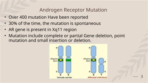 Testicular Feminization Syndrome Androgen Insensitivity Syndrome Pptx