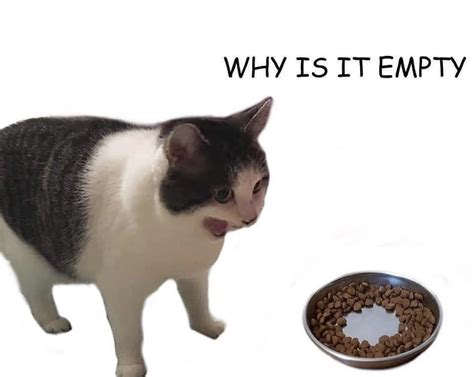 Why Is It Empty Original Meme Why Is It Empty Know Your Meme