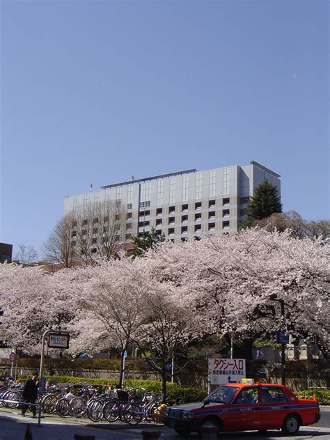 一般社団法人 治療家の學校 ★★★★★ 【募集スタート！】 実際に触れて・押して・使える 膝・股関節痛トリガーセラピー講座 48割引は今だけ！ 30名限定のご案内