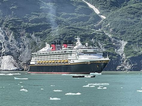 Disney Wonder Alaskan Excursions Part Ii Disney Insights