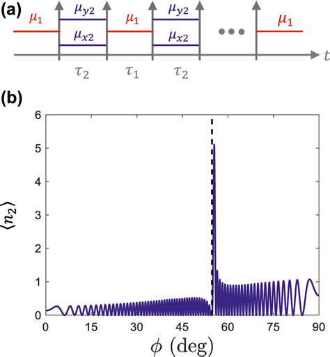 Asymmetric And Fast Varying Angular Amplification Lines Near A Temporal