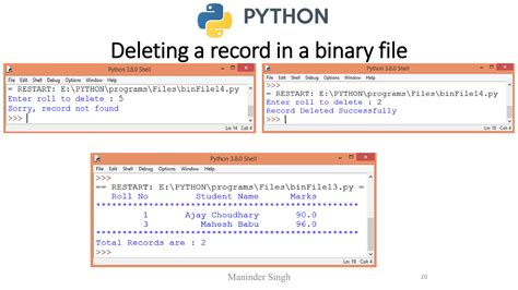 51 Binary File Handlingpdf Programming Languages Computing