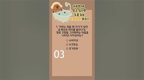 어휘상식 1분 퀴즈 한 번 배우면 평생 써먹는 사자성어 퀴즈 3문제로 알아보아요 사자성어퀴즈 상식 고사성어 두뇌운동