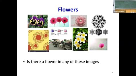 11 785 Spring 23 Lecture 9 Shift Invariance And Convolutional Neural