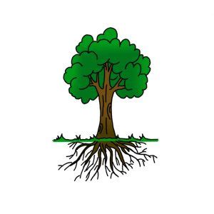 How To Draw A Tree With Roots Step By Step Easy Drawing Guides Drawing Howtos