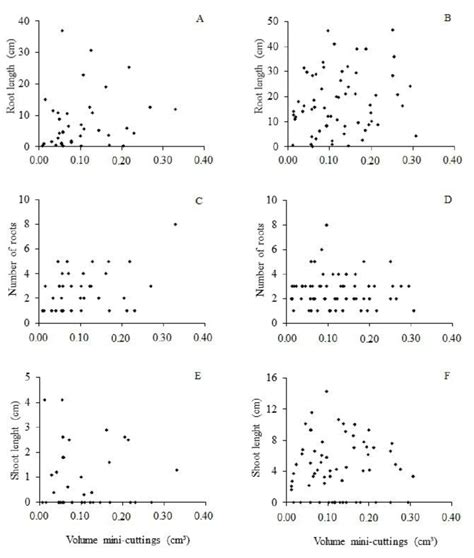 Relationship Between Ipe Roxo Mini Cutting Volume And Root Length A Download Scientific
