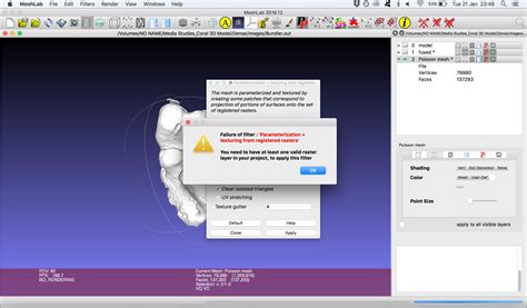 meshlab i do not have a valid raster for parameterization texturing