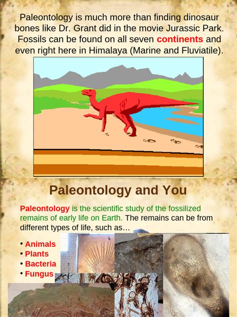 Understanding Fossils And Paleontology Pdf Fossil Paleontology