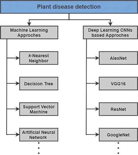 Rust Disease Classification Using Deep Learning Based Algorithm The Case Of Wheat Intechopen