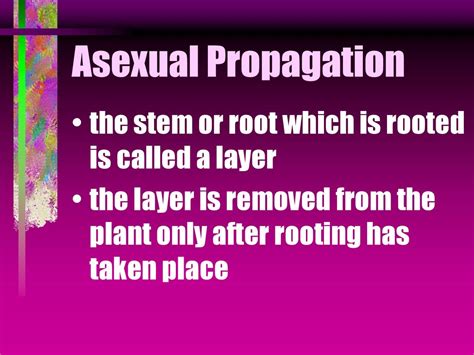 Layering Ppt Download