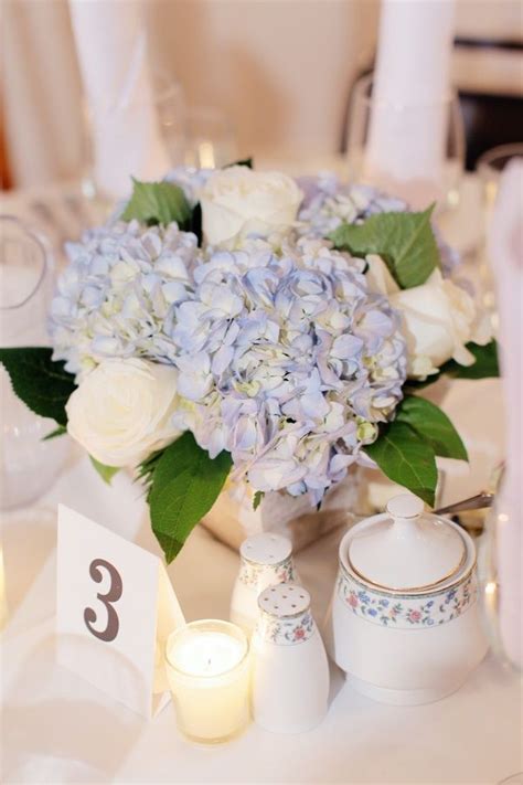 141 Best Images About Hydrangea Wedding Ideas On Pinterest Hydrangeas