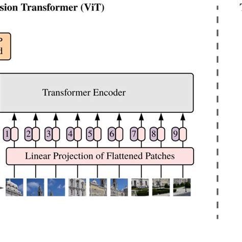 Visual Transformer Model Download Scientific Diagram