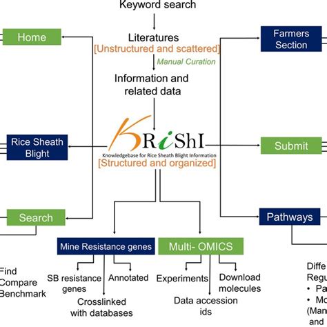 Stylized Representation Of The Protein Function Prediction Problem Download Scientific Diagram