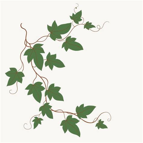 Ivy Border Vector Art Icons And Graphics For Free Download
