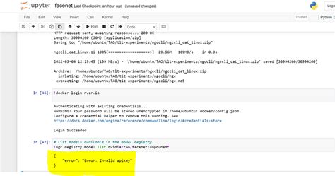 Getting Error While Executing Any Ngc Cli Command Error Error