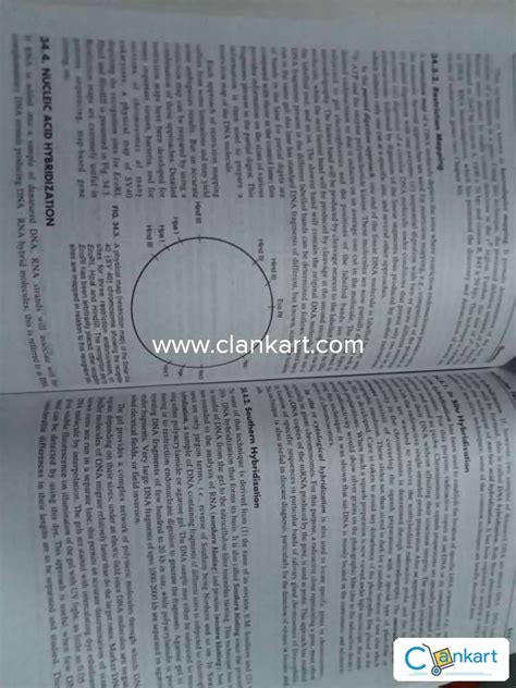 Buy Genetics Book In Excellent Condition At
