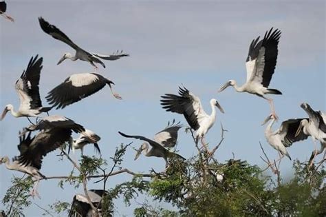 ស្រីស្អាតចង់ប្លែកមាត់ចាប់សត្វក្រៀលមកធើ្វម្ហូបអាហារត្រូវសមត្ថកិច្ចហៅសួរនាំ ស៊ីក្លូខ្មែរប៉ិស្តិ៍