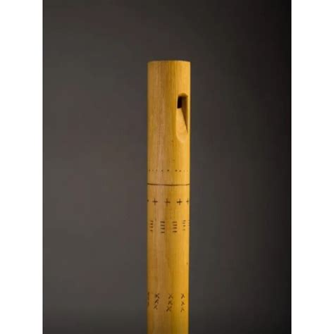 Caval Cu Husa Gratis