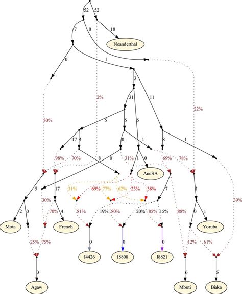 full admixture graph results for model 1 branch lengths are shown in
