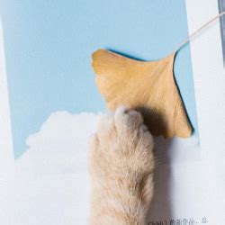 CSDN如何获取收益呢 其他 CSDN问答