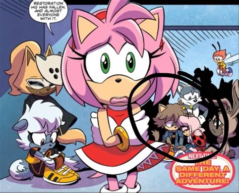 Spoiler For Sonic Idw Comic 21 Ladybug And Adrien From Miraculous On