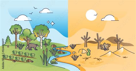 Desertification Process