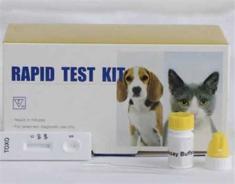 Pvc Diagnostic Testing Kit At Best Price In Indore Any Care Enterprises