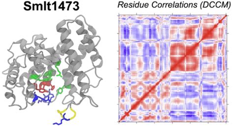 探究ph对糖与多糖裂解酶结合的影响。 The Journal Of Physical Chemistry B X Mol