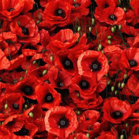 Premium Photo Seamless Poppy Field Texture