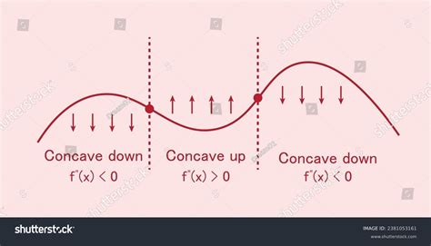 Concave Concave Down Concavity Function Inflection Stock Vector Royalty Free 2381053161