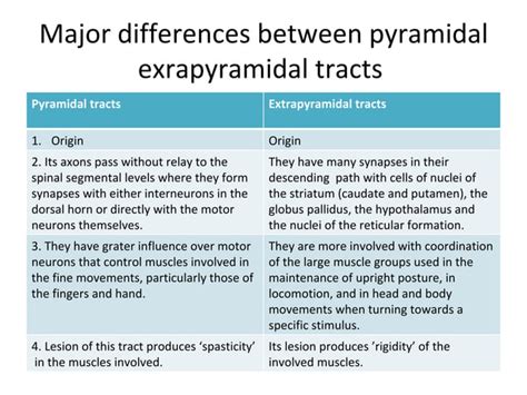 Descending Tract Diagram Final Ppt