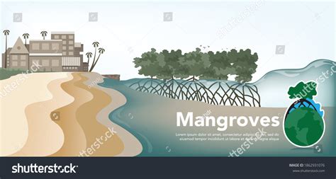 Campaign Poster Mangrove Tree Planting On Stock Vector Royalty Free