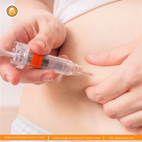 Egg Donation Process What You Need To Know Ukraine Surrogacy Agency