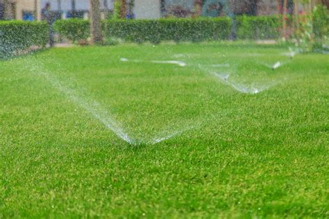 Lawn Irrigation Best Systems And How To Use Them