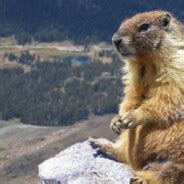 Steam Community Nacked